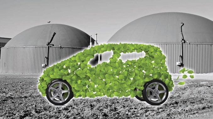 Green Fuel: Exploring the potential of biogas for vehicles - Renewable ...