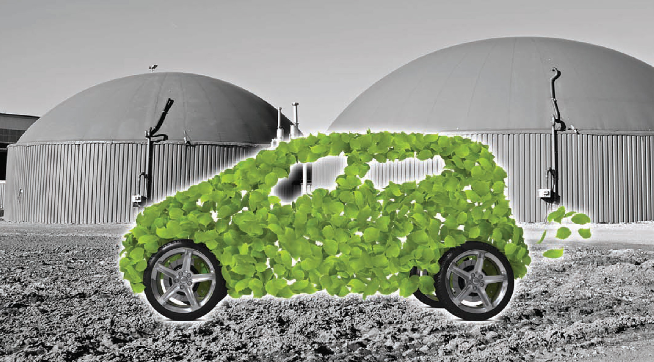 Green Fuel: Exploring the potential of biogas for vehicles - Renewable ...