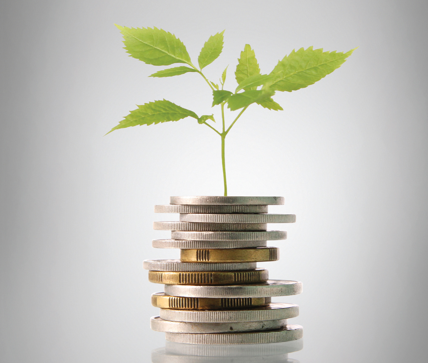 Green Funds: Innovative financing for renewables - Renewable Watch