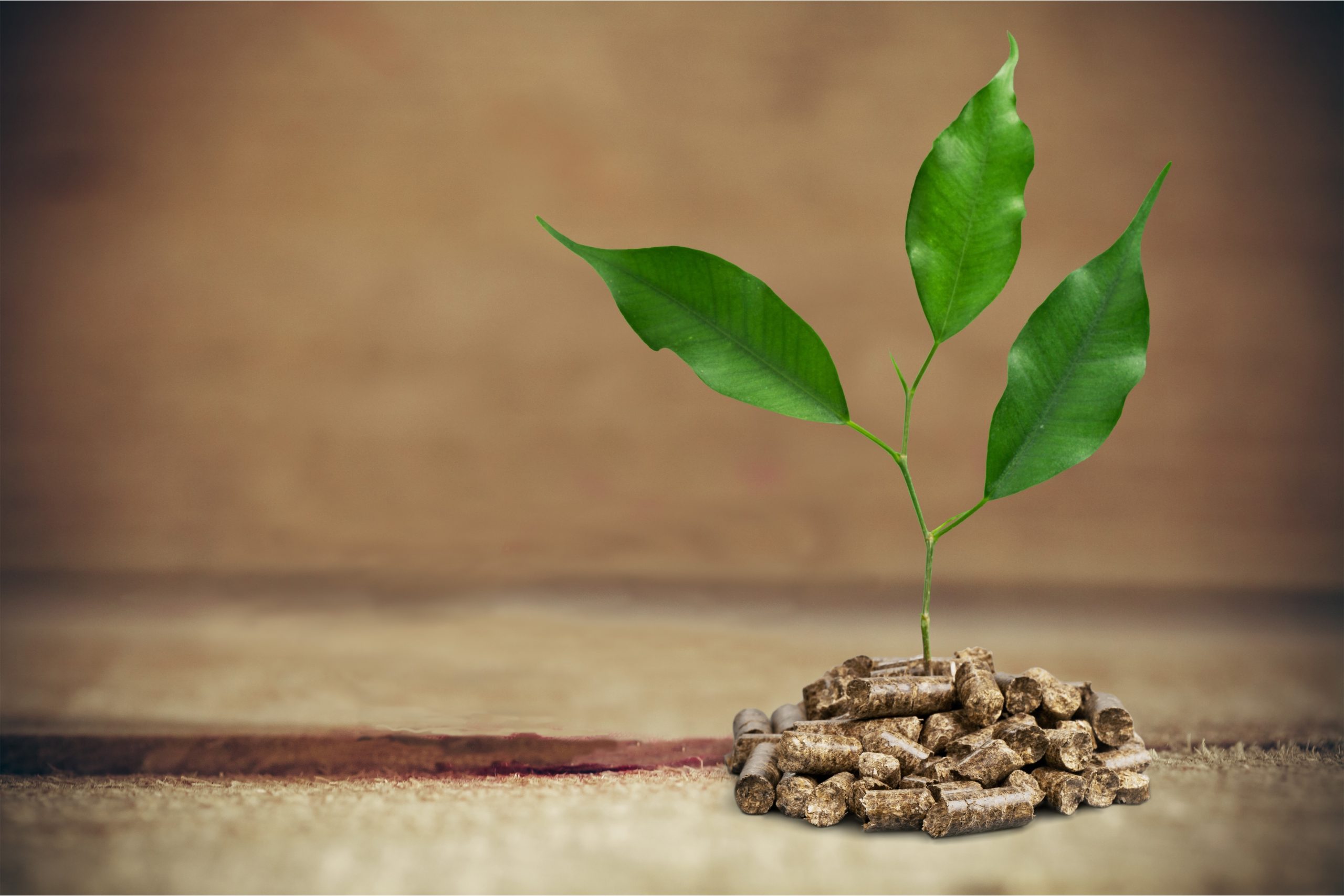 Bioenergy Breakthrough: Indore’s model for effective MSW management and ...