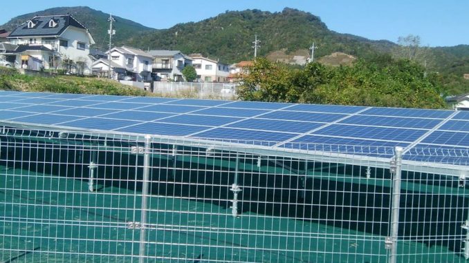 Clenergy’s PV-ezRack releases a solar fencing solution - Renewable Watch