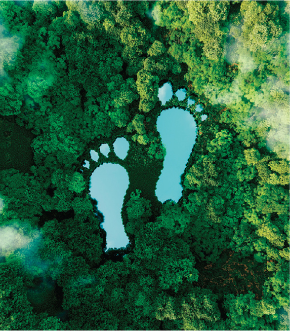 A Year of Paradoxes: Hits and misses in the renewables sector - Renewable Watch