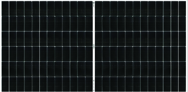 Bluebird Solar introduces M10 half-cut PV modules - Renewable Watch