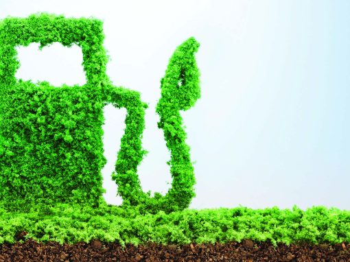 GAIL revises biogas pricing and transportation charges under CBG-CGD ...