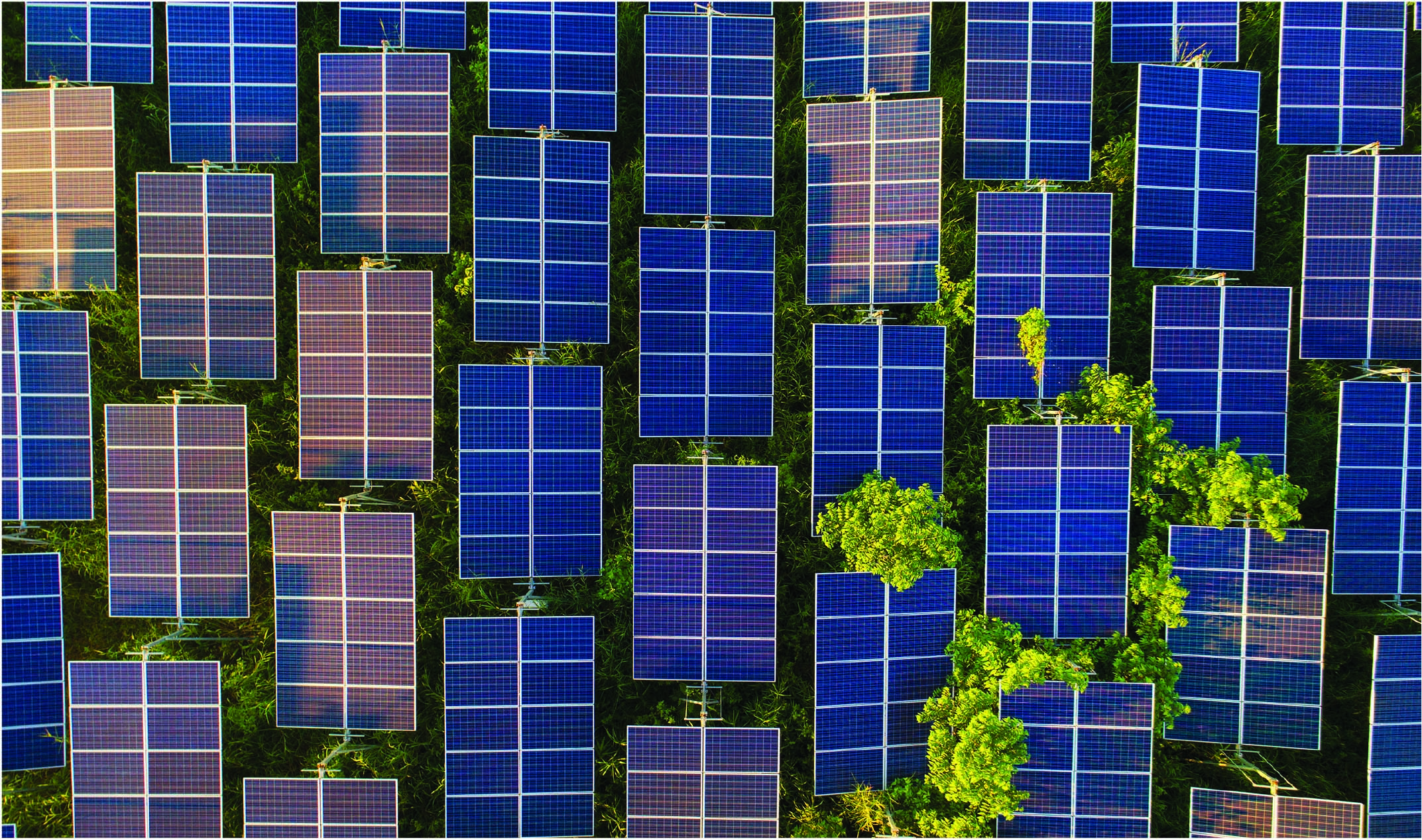 Improving Cable Quality: Technology trends and innovations - Renewable Watch