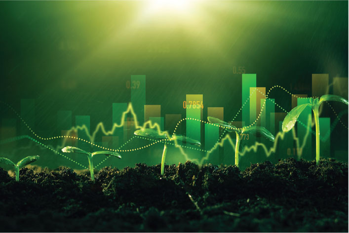 Electricity Generation Resource Adequacy Plan 25-26: Report - Renewable ...