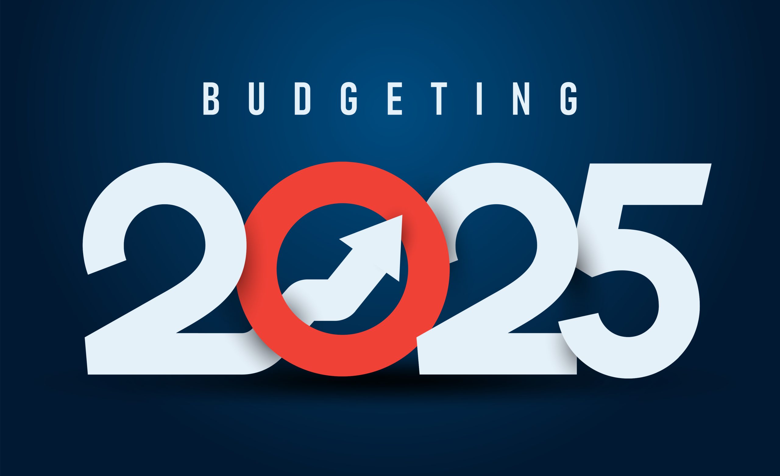 Budget 2025 Expectations: Views of clean energy industry stakeholders ...