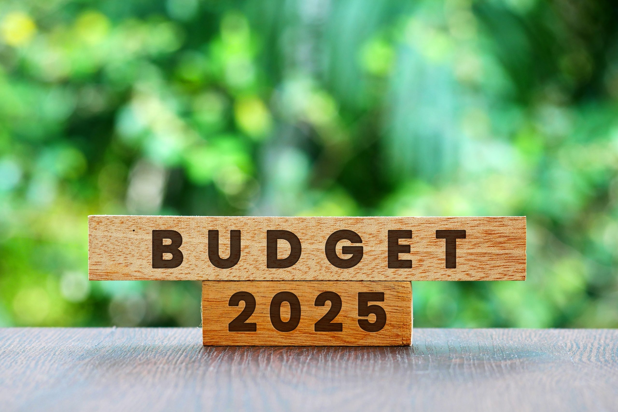 Union Budget 2025-26 Reactions - Renewable Watch