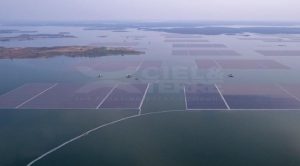 Ciel & Terre has commissioned one of India’s largest floating solar ...
