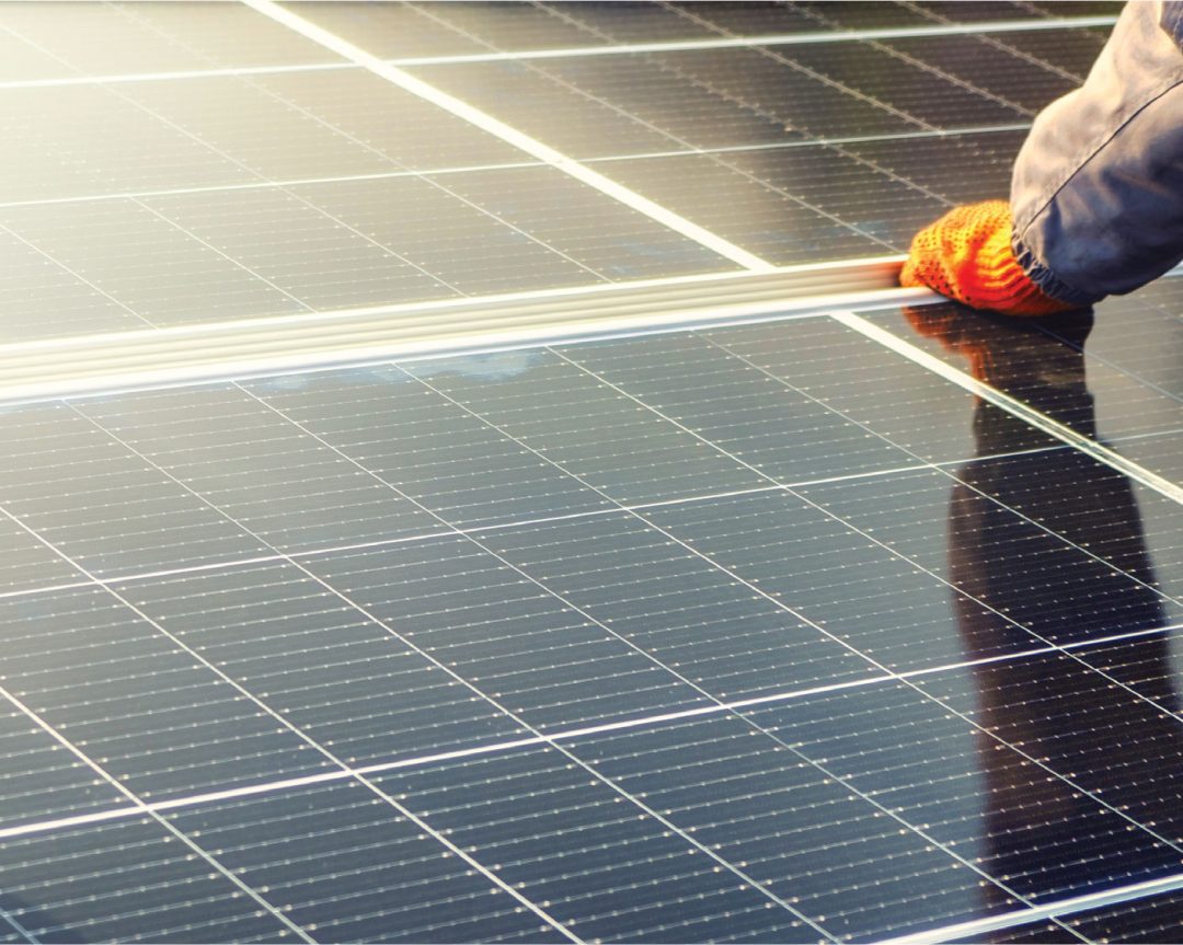 Technology Choice: Weighing in on TOPCon and back contact solar PV ...