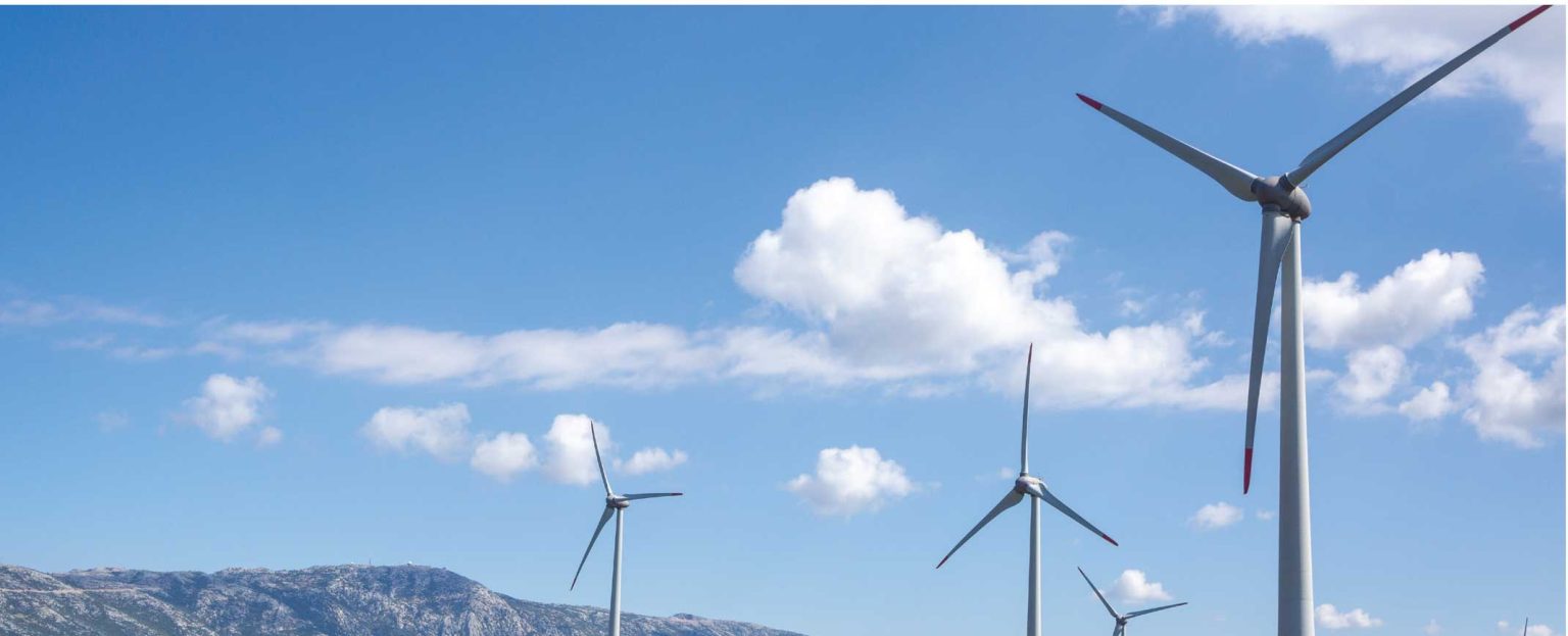 Vena Energy: Expanding into India’s hybrid and firm power market ...